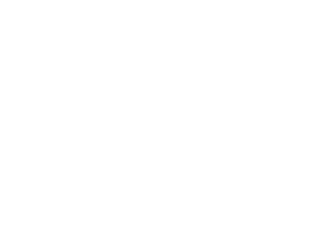 Mastering the ZEBRA Options Strategy: Unlocking Stock-Like Returns with ...